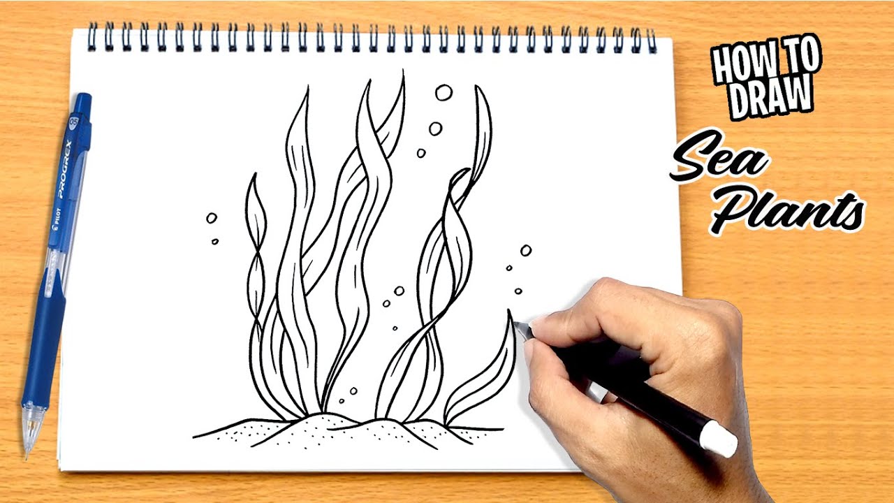 How To Draw Sea Plants Poster Foto Cartoon Underwater Seaweed Plants