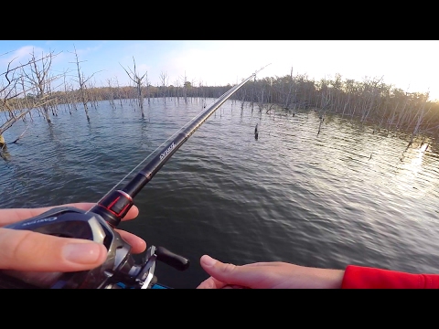 Fishing In A Flooded Forest Youtube