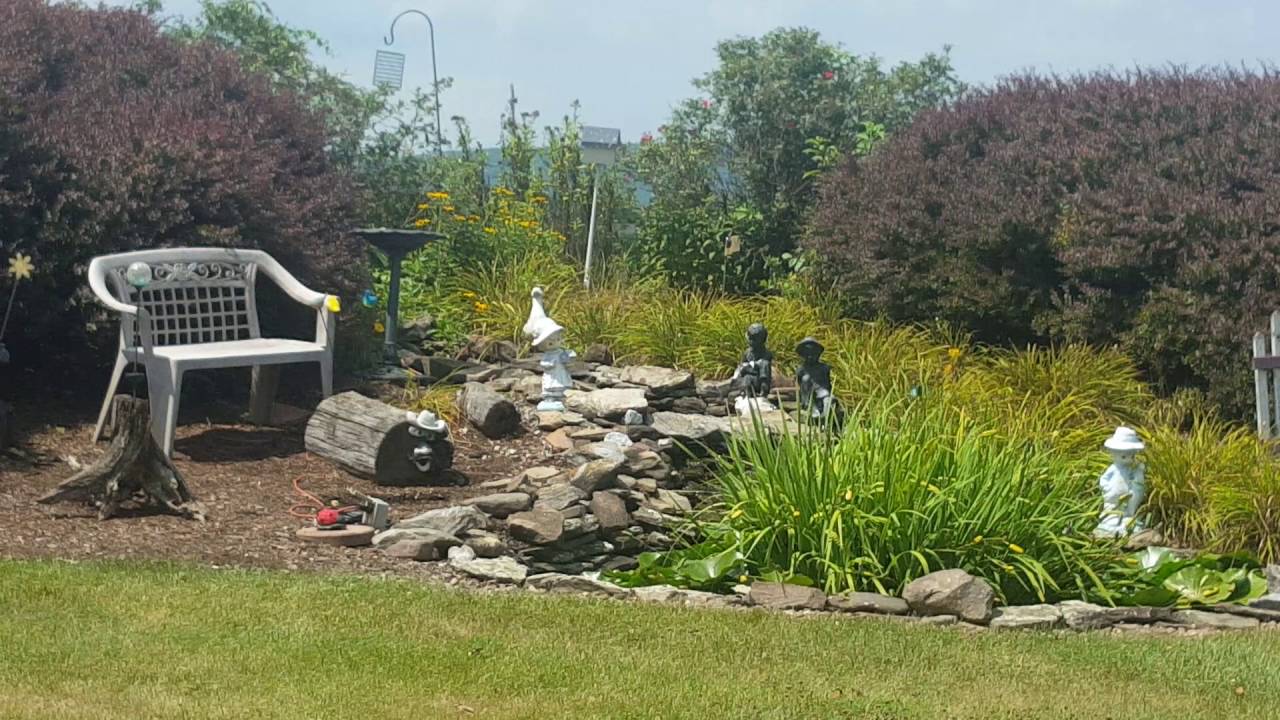 Backyard Garden Bird Sanctuary Stunning Youtube