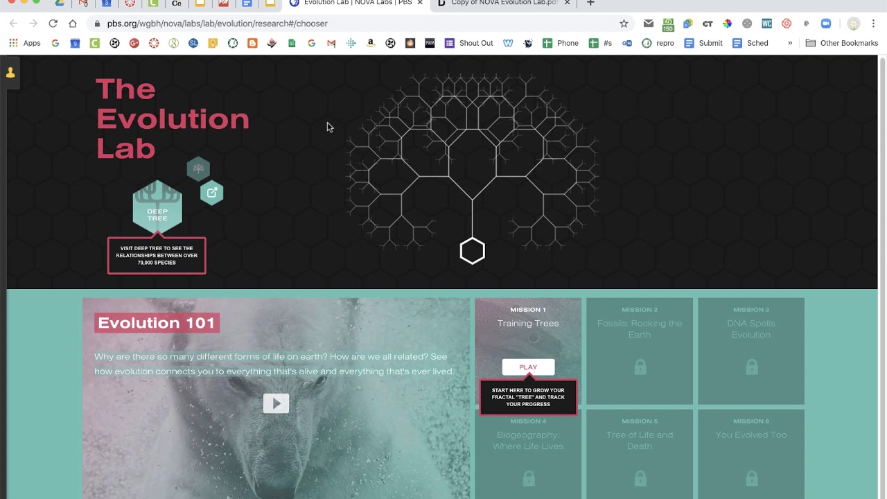 Evolution Lab Instructions Youtube