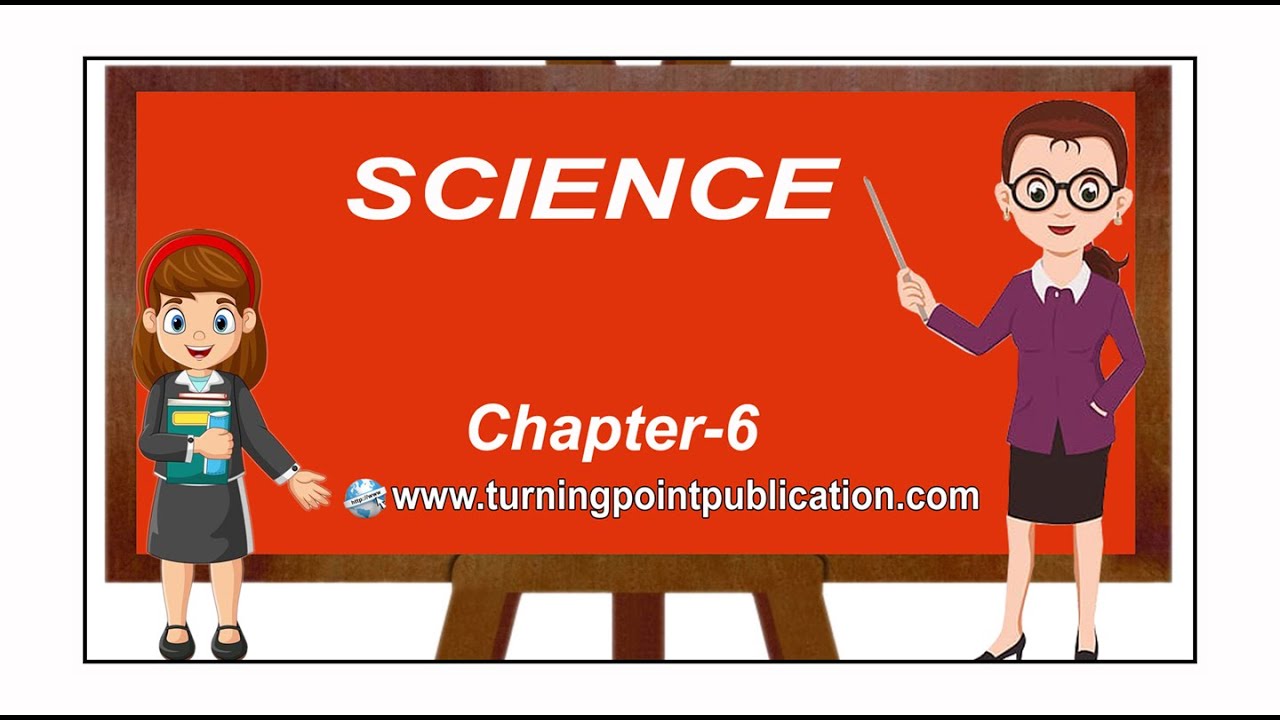 Chapter 6 Youtube