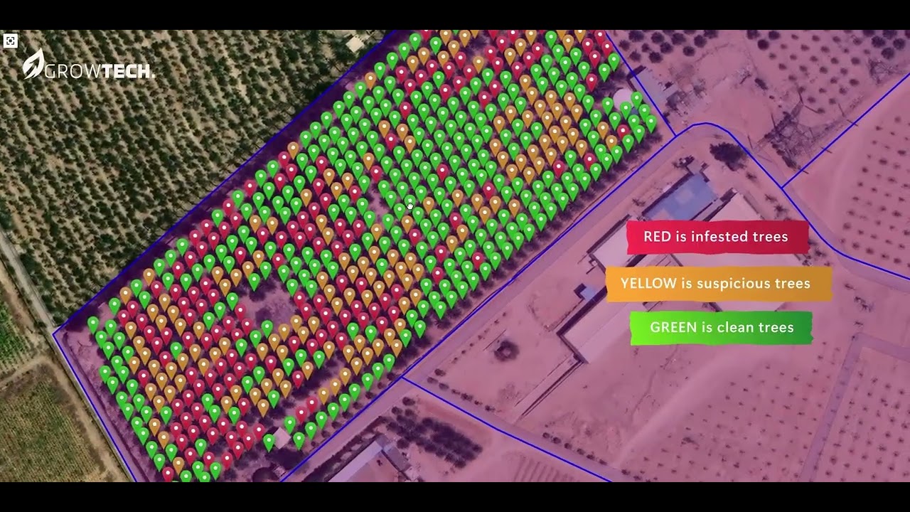 Platform Tutorial Youtube