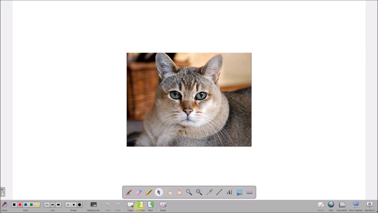 Openboard Using The Basic Tools Youtube