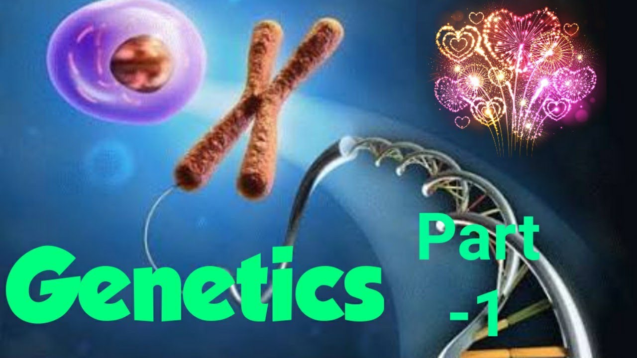 Genetics Part 1 Simple Terminology Make Genetics Easy Youtube