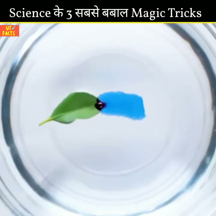 3 Science क बब ल Magic Tricks Amazing Science Magic Tricks Shorts