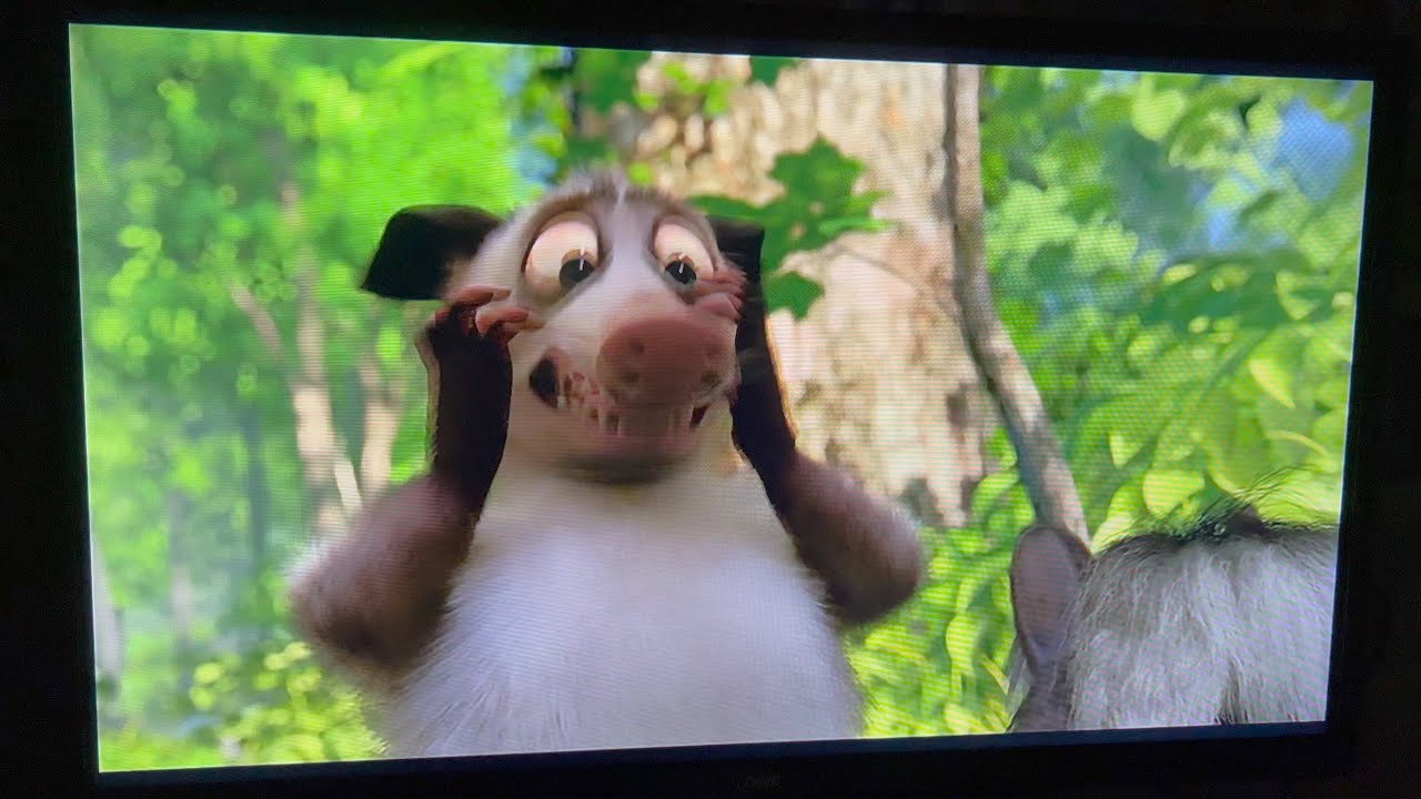 Over The Hedge Ozzie