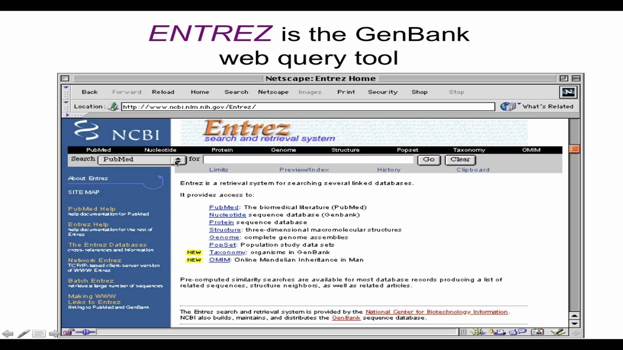 Intro Biostatistics And Bioinformatics 3 Youtube