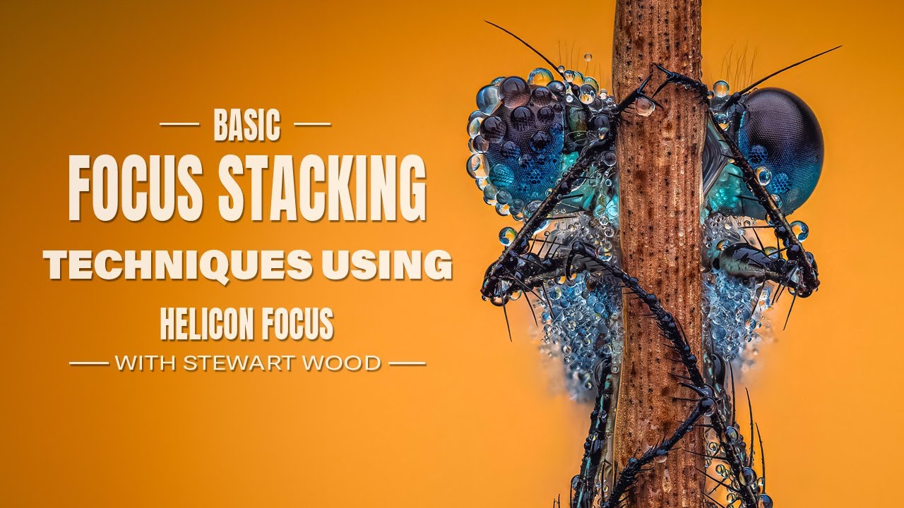 Basic Focus Stacking Techniques With Helicon Focus Tip Tricks Youtube