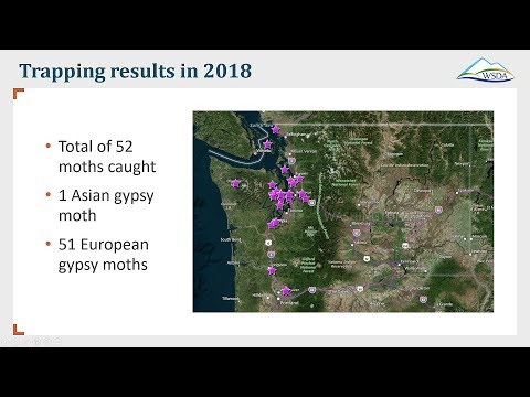 2019 Gypsy Moth Virtual Open House Youtube