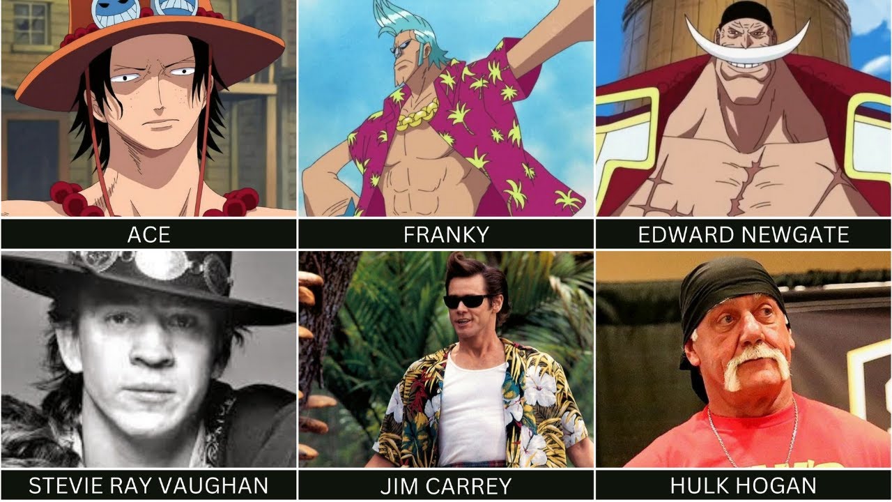 One Piece Characters Based On Real Life At Timothy Mitchell Blog