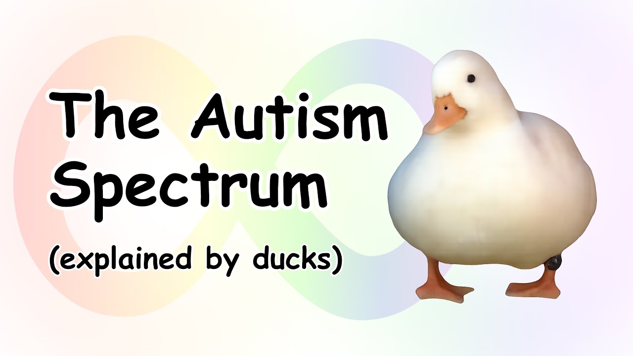 The Autism Spectrum Explained By Ducks Youtube