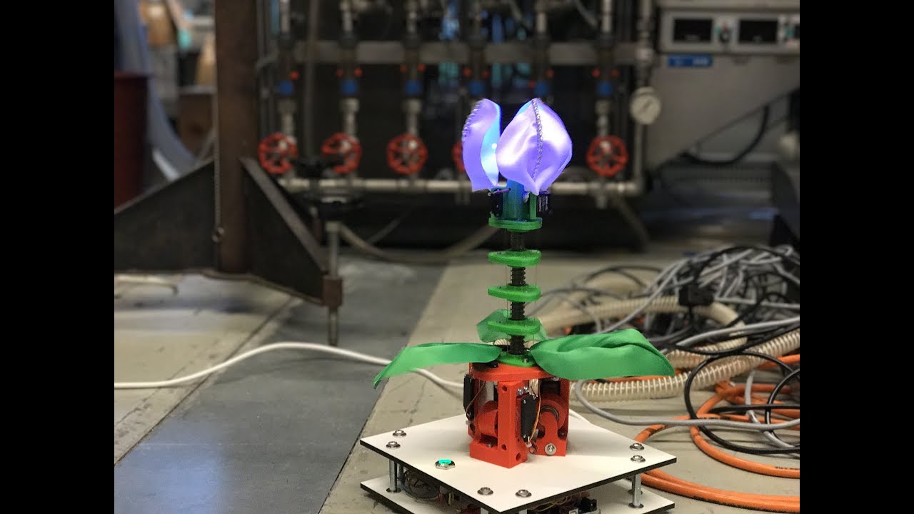 Dance Of The Robotic Flower Youtube