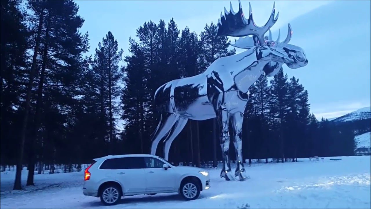 2016 Volvo Xc90 Huge Moose Youtube