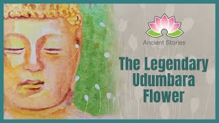 Copyright Free Udumbara Flower Mp3 Music & Mp4 video downloads
