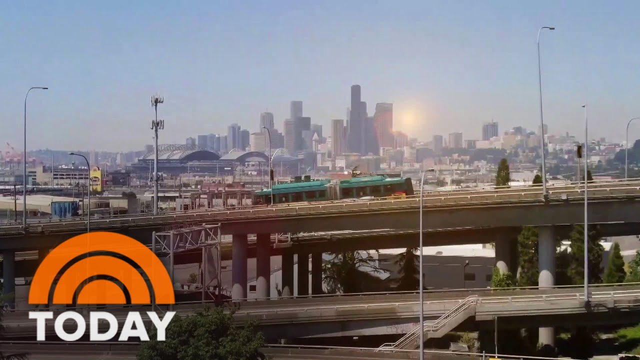 Cities Plant Trees To Combat Extreme Heat In Urban Areas Youtube