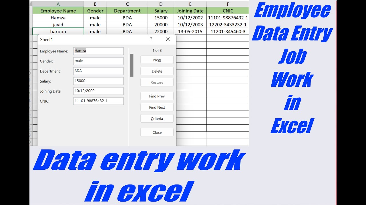 Excel Data Entry Youtube