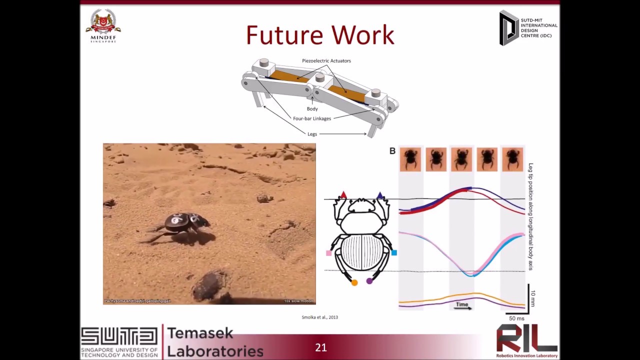 Design And Gait Analysis Of A Two Legged Miniature Robot With