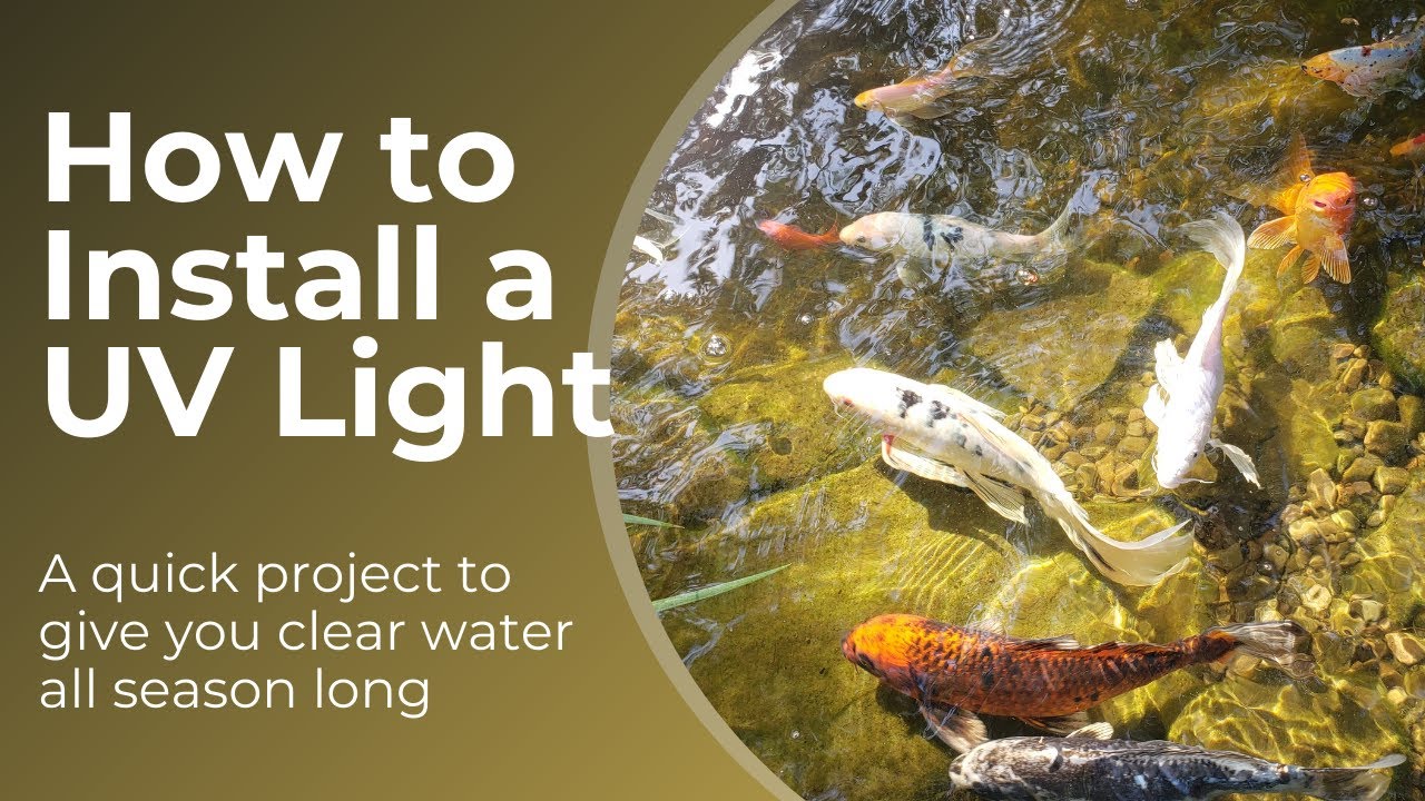 How To Install A Uv Light Youtube