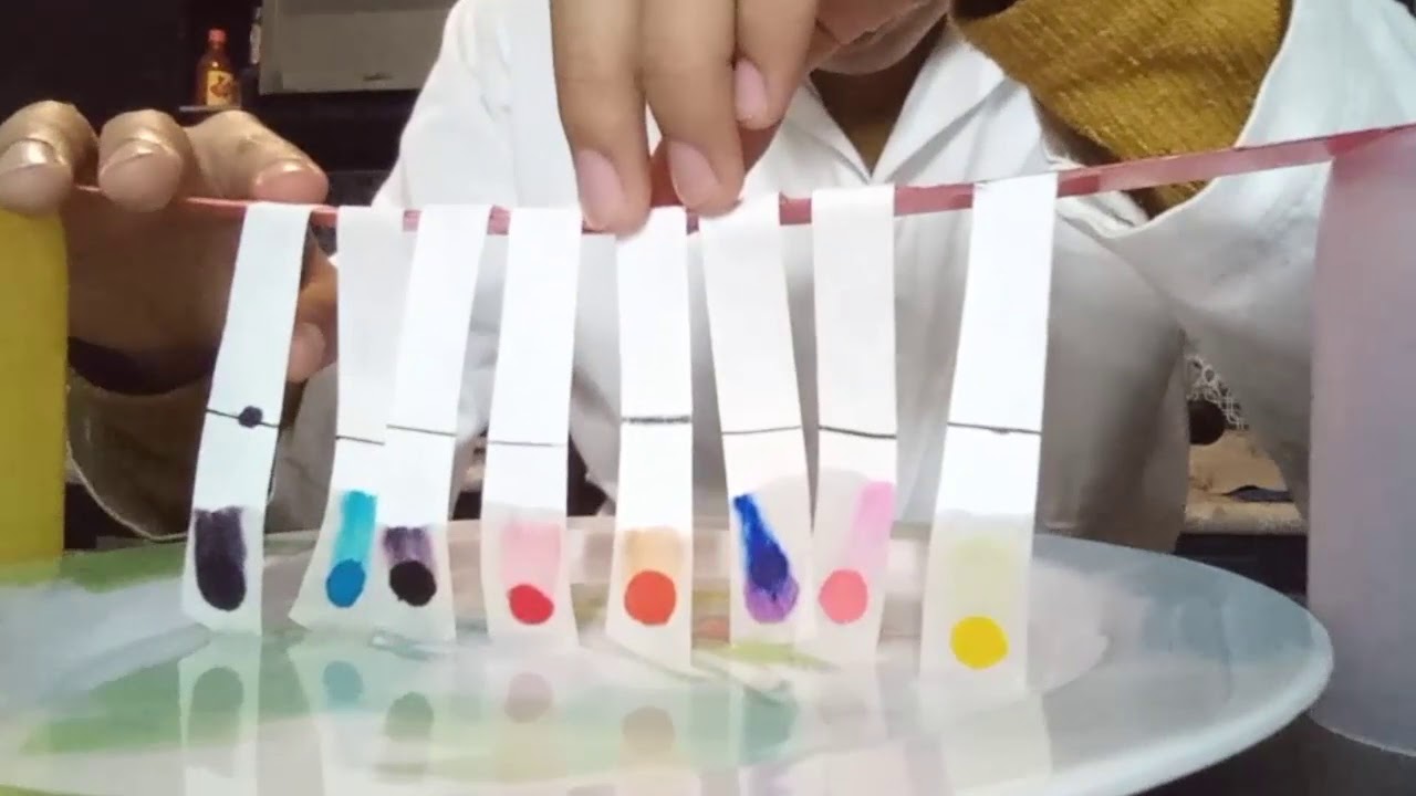 Experimento Cromatografía De Papel Youtube