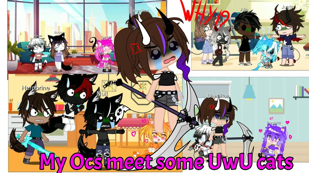 What If My Ocs Meet Some Uwu Cats Youtube