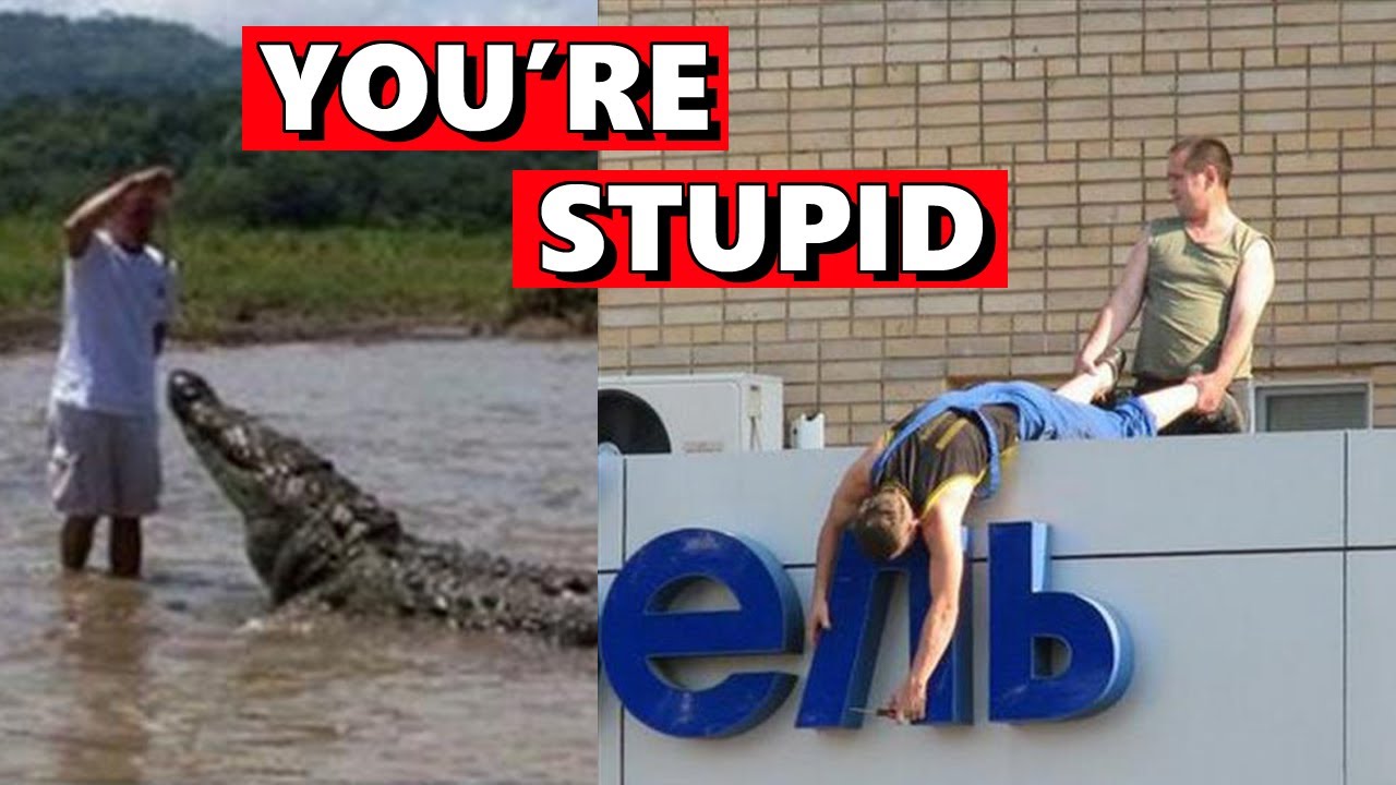You Re Stupid 22 Youtube