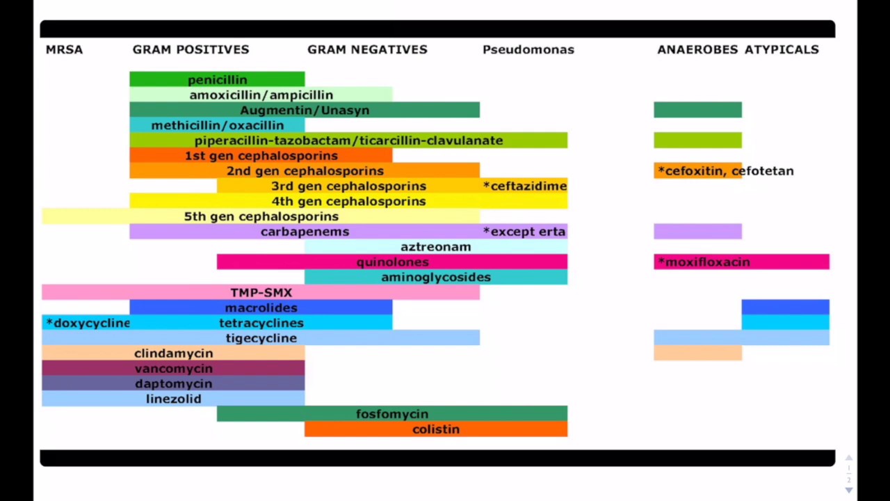 Antibiotic Coverage Made Easy Usmle Comlex Youtube