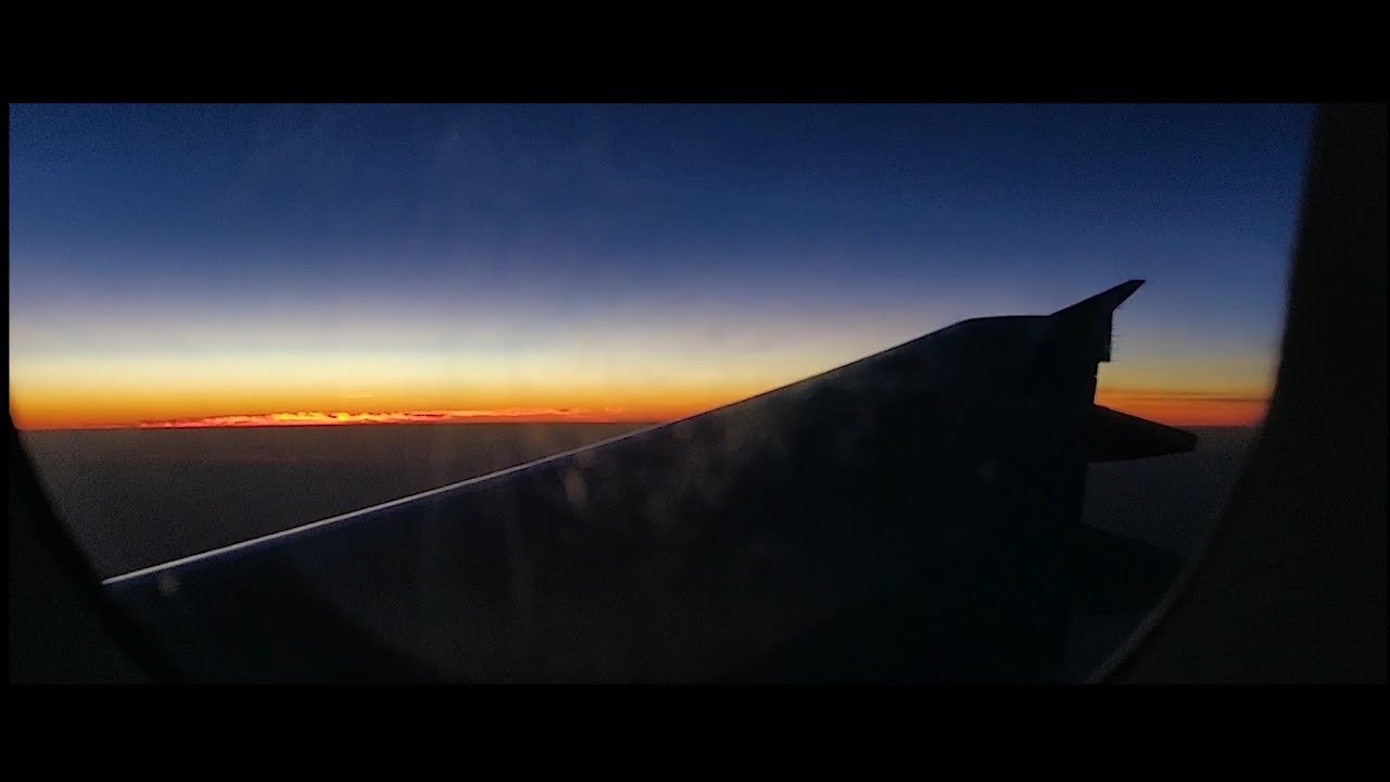 Travelbee Introduction Youtube