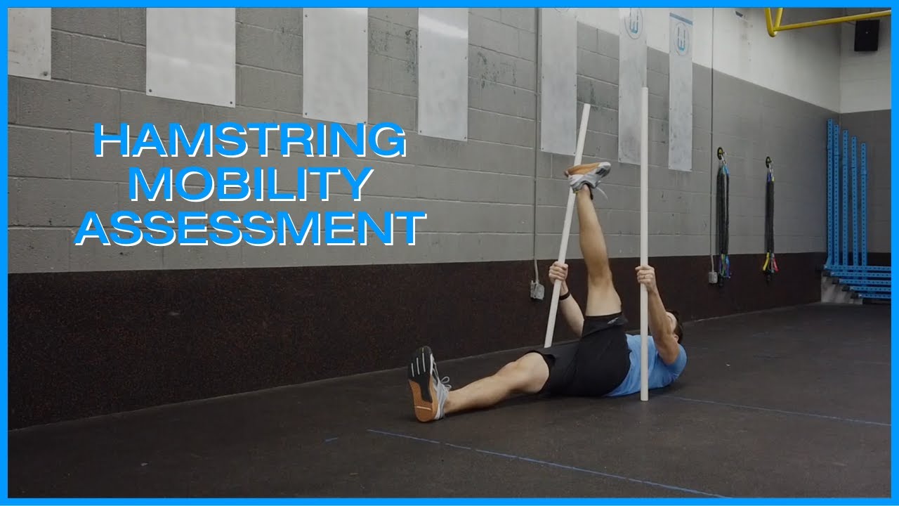 Hamstring Flexibility Assessment Youtube