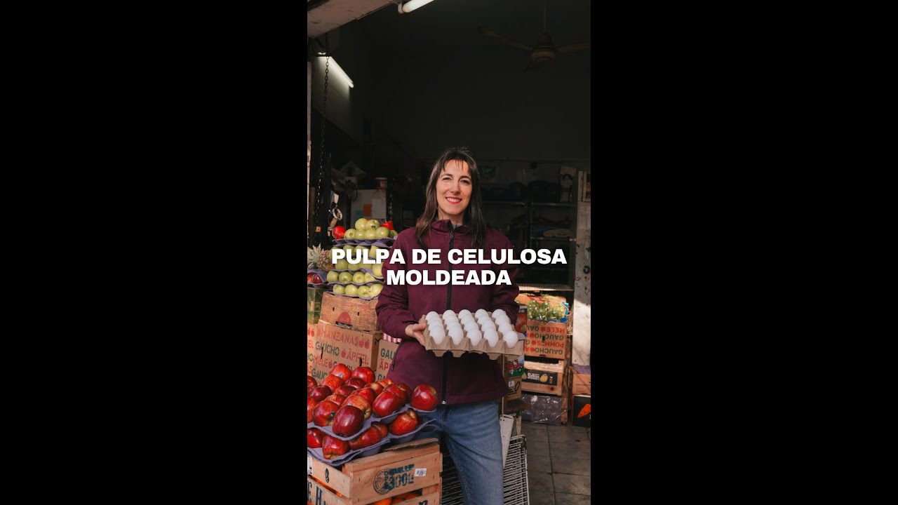 La Pulpa De Celulosa Moldeada Youtube