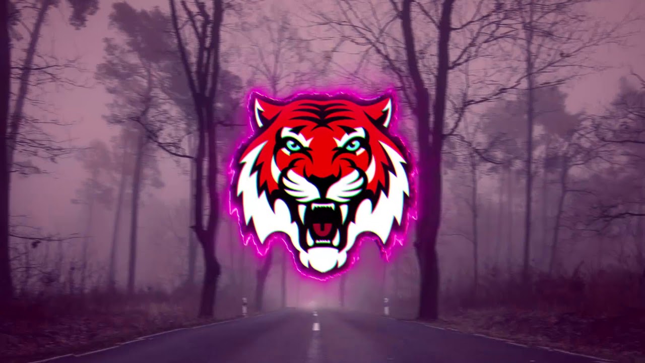 Cj Whoopty Bass Boosted Youtube Music