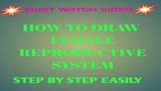 How To Draw Female Reproductive System Female Reproductive System