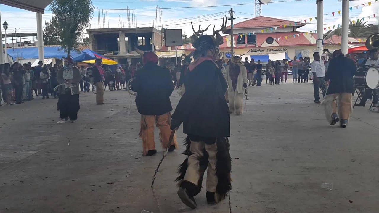 Los Diablos En Santiago Tamazola Oaxaca Youtube