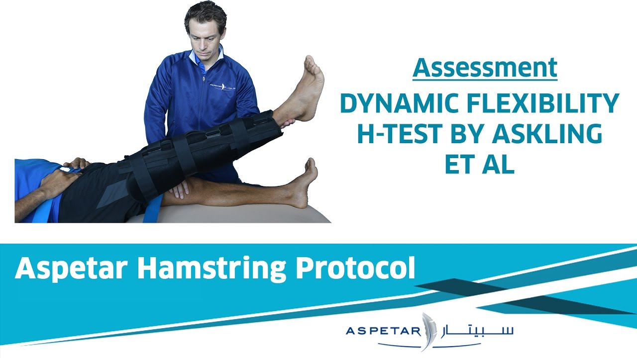 Eccentric Hamstring Exercises Pdf Eoua Blog