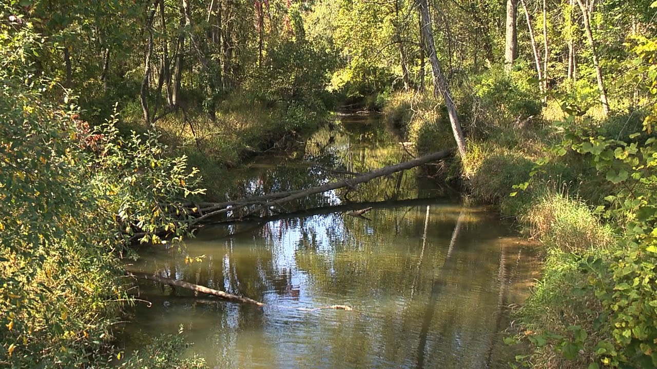 The Genesee County Parks Hogbacks Youtube