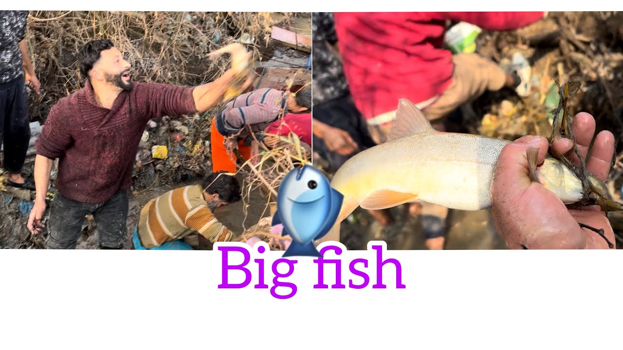 Fishing рџћј Youtube