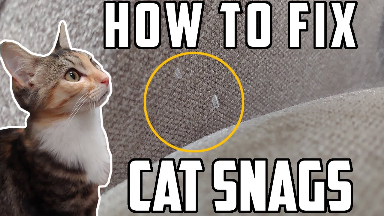 How To Fix Cat Snags Youtube
