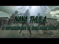 Kabza De Small Nana Thula 2 0 Remix Feat Young Stunna Njelic The King ...