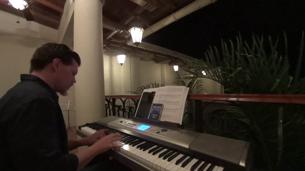 Owen Benjamin Comedian The Racism Song Piano Cover Youtube