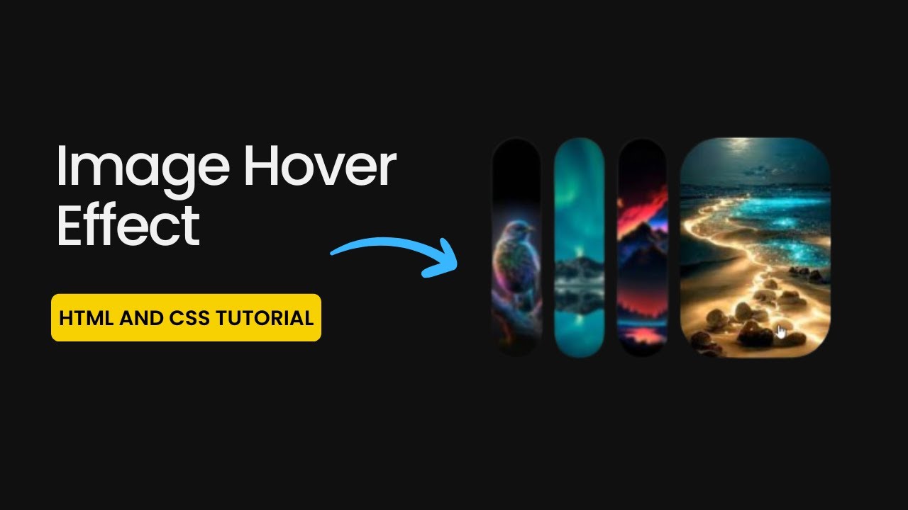 Image Hover Effect Using Html And Css Beginner Tutorial