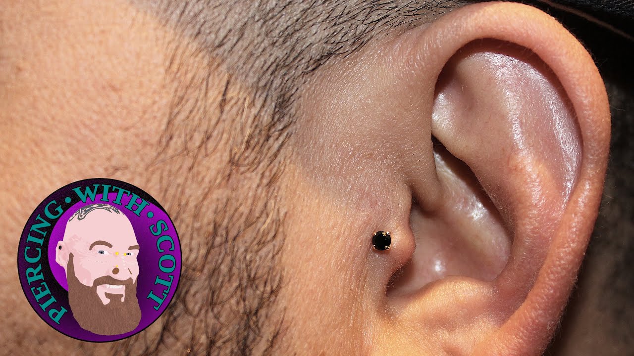 The Whole Truth Tragus Piercing Youtube