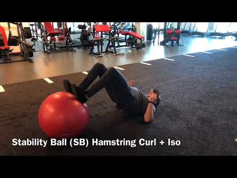 Stability Ball Sb Hamstring Curl Iso Youtube