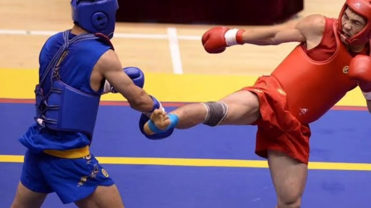 Kung Fu Sanda Pro Fights Compilation أفضل نزالات الساندا للمحترفين