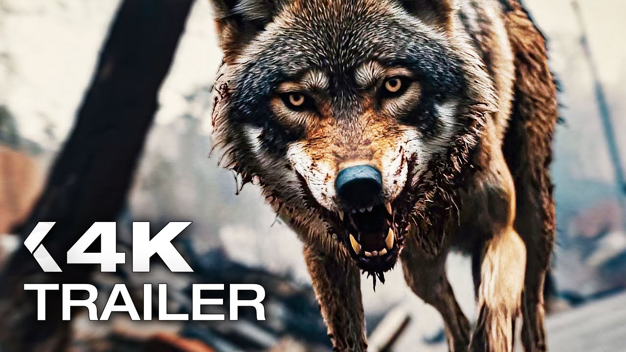 Coyotes Trailer 2025 Dark Frights