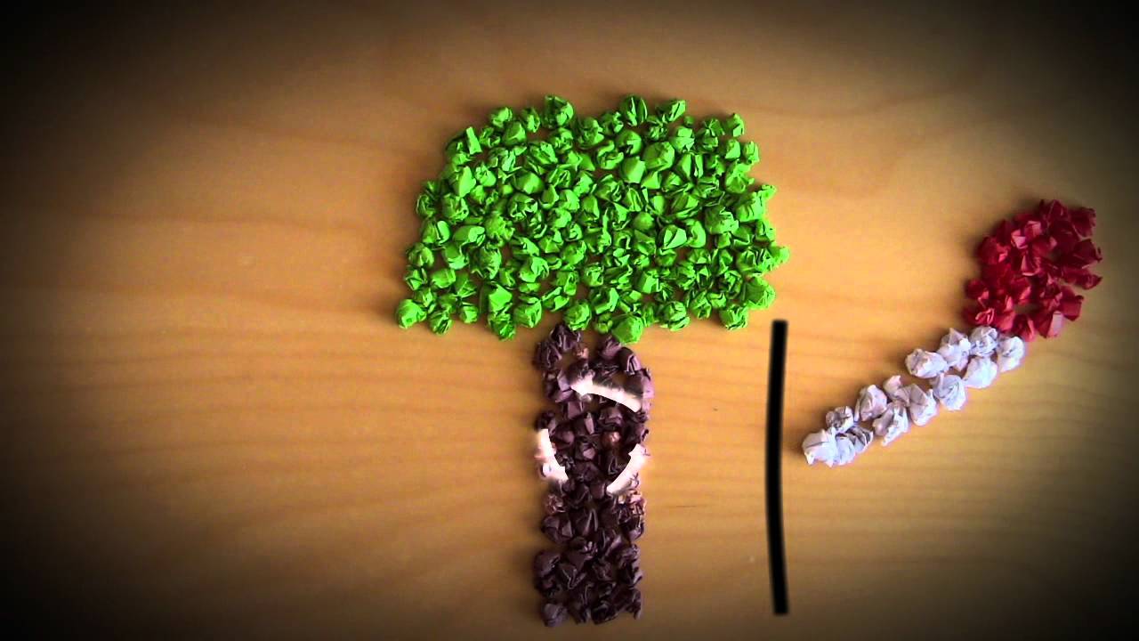 Saving The Environment Youtube