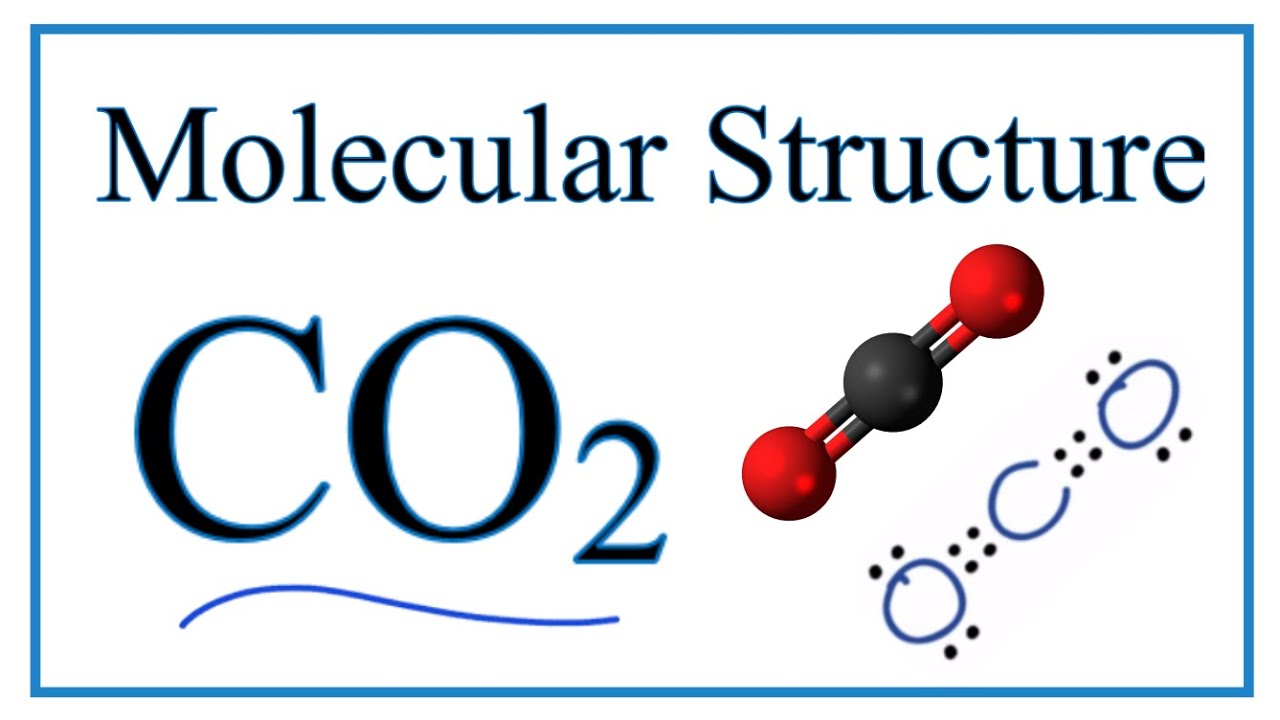 Chemical Structure Of Carbon Dioxide Infoupdate Org