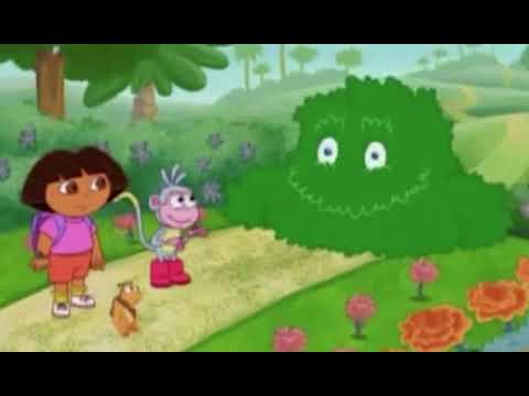 The Echo Bush Youtube