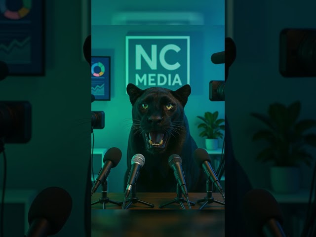 Pantera din Romania - Melodia #pantera #shorts