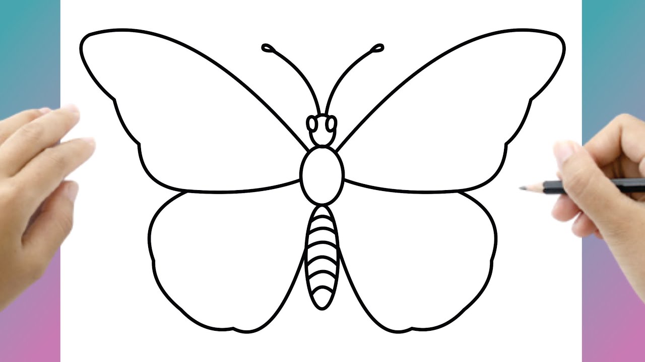 Cómo Dibujar Una Mariposa Paso A Paso Fácil Youtube