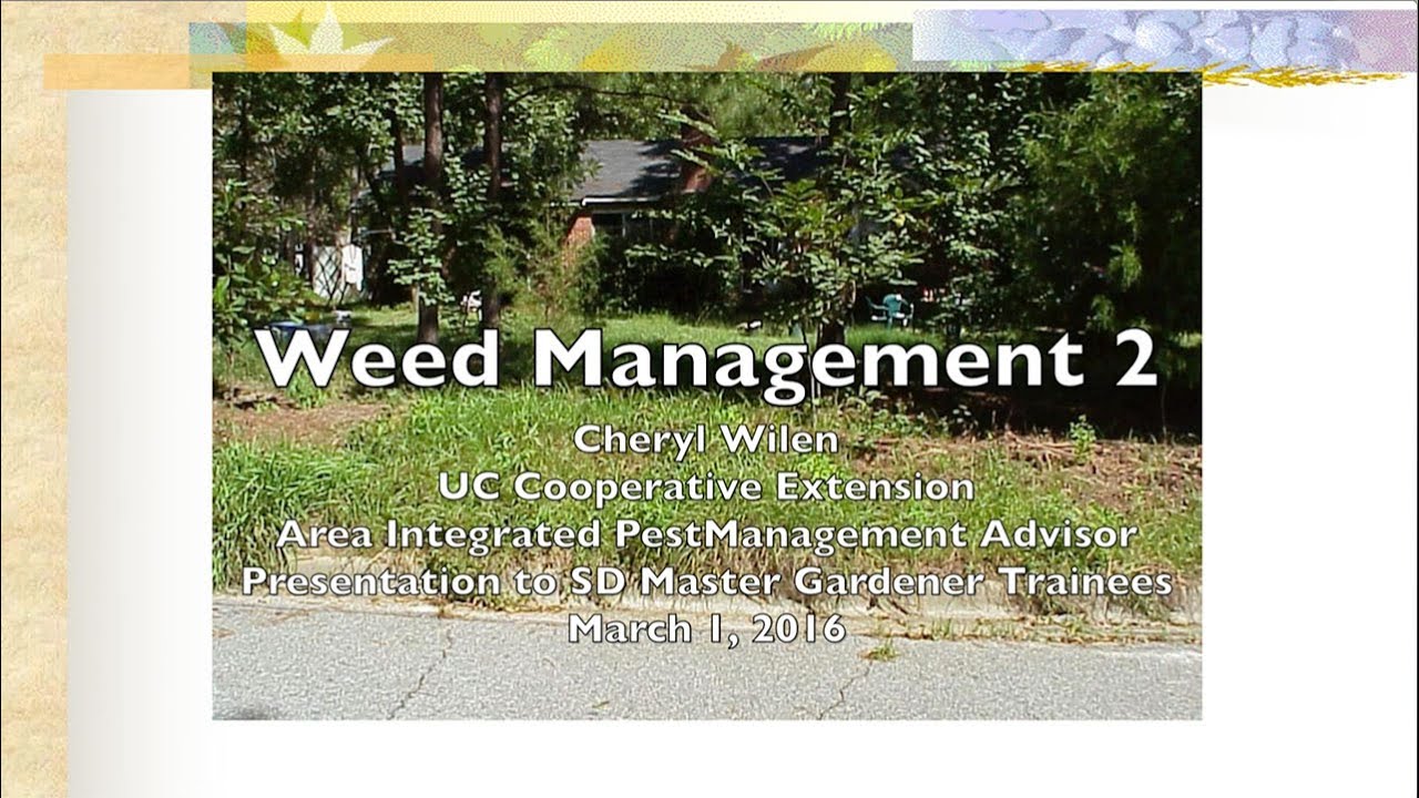 Weed Management Part 2 Youtube