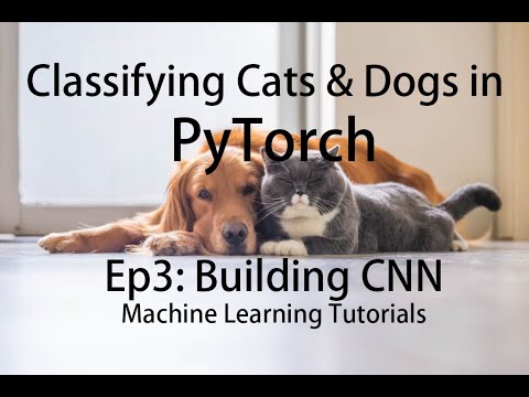 Ep3 Building Cnn Classifying Cats And Dogs With Pytorch Sv Machine
